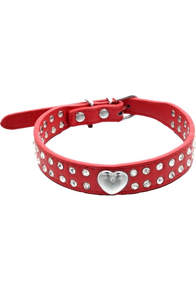 Eternal Pet Giysileri (Yurt Dışından)