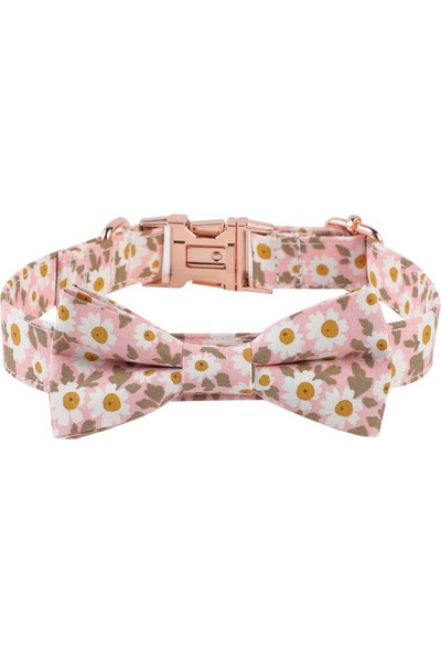 Eternal Pet Giysileri (Yurt Dışından)