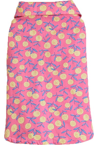 Eternal Pet Giysileri (Yurt Dışından)