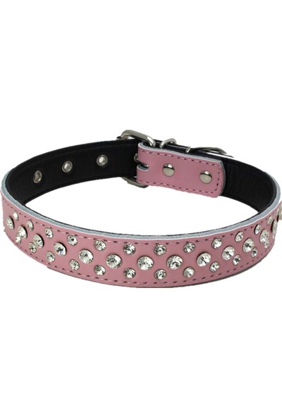 Eternal Pet Giysileri (Yurt Dışından)