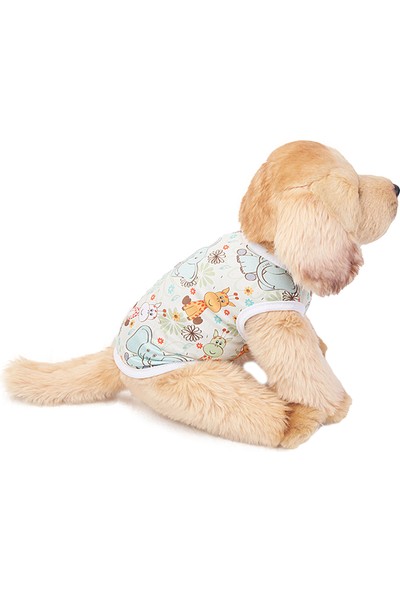 Eternal Pet Giysileri (Yurt Dışından)