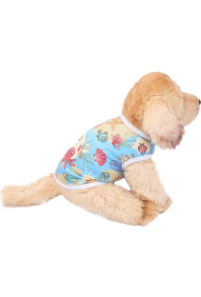 Eternal Pet Giysileri (Yurt Dışından)