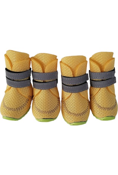 Eternal Pet Giysileri (Yurt Dışından)