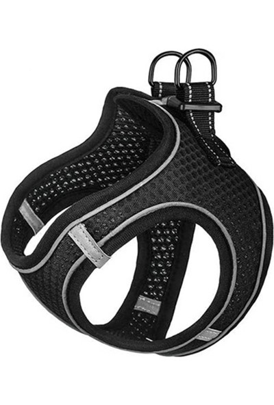 Eternal Pet Giysileri (Yurt Dışından)