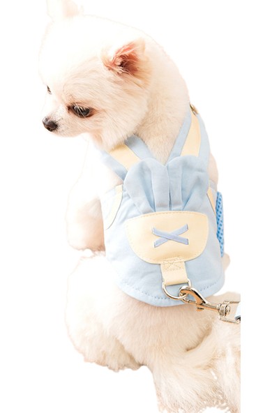 Eternal Pet Giysileri (Yurt Dışından)