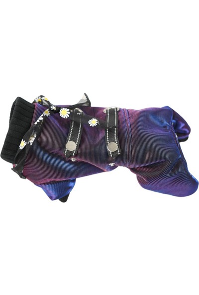 Eternal Pet Giysileri (Yurt Dışından)