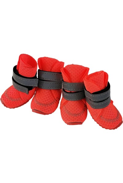 Eternal Pet Giysileri (Yurt Dışından)