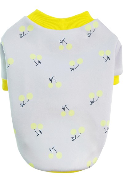 Eternal Pet Giysileri (Yurt Dışından)