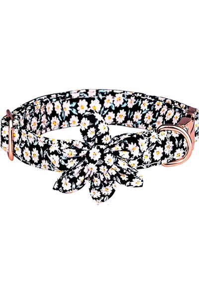 Eternal Pet Giysileri (Yurt Dışından)