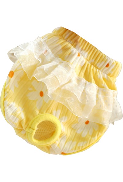 Eternal Pet Giysileri (Yurt Dışından)