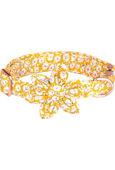 Eternal Pet Giysileri (Yurt Dışından) Eternal Pet Giysileri (Yurt Dışından)