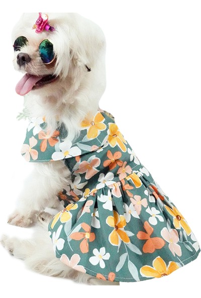 Eternal Pet Giysileri (Yurt Dışından)