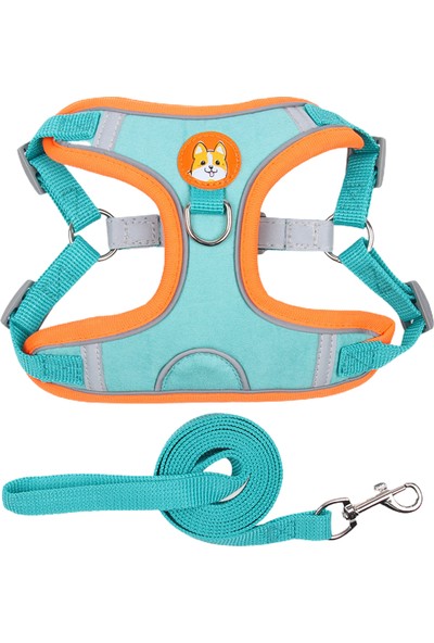 Eternal Pet Giysileri (Yurt Dışından)