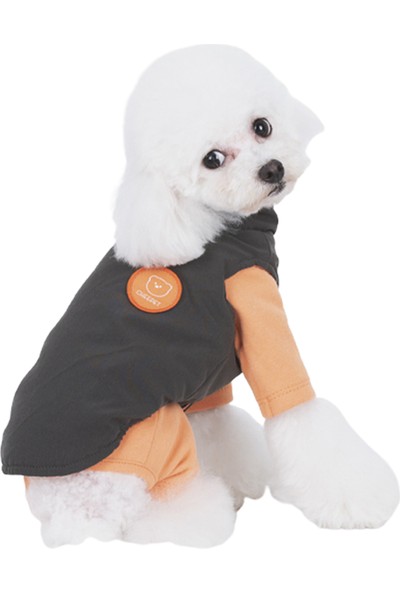 Eternal Pet Giysileri (Yurt Dışından)