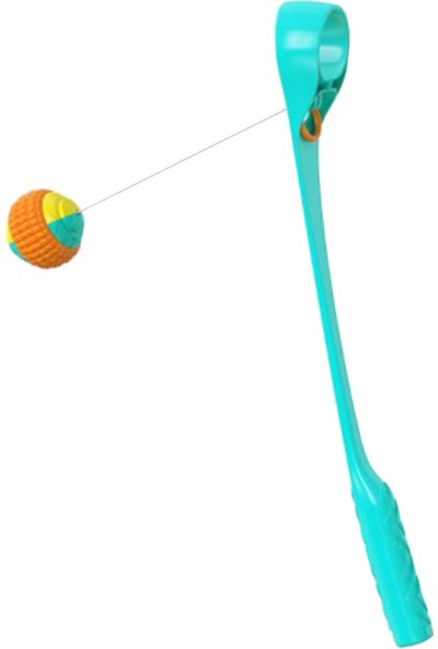 Eternal Pet Giysileri (Yurt Dışından)