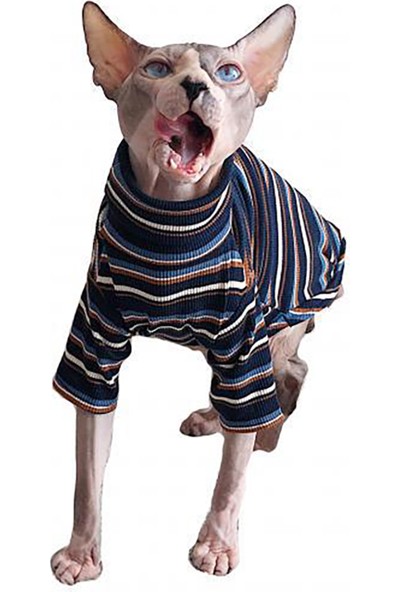 Eternal Pet Giysileri (Yurt Dışından)