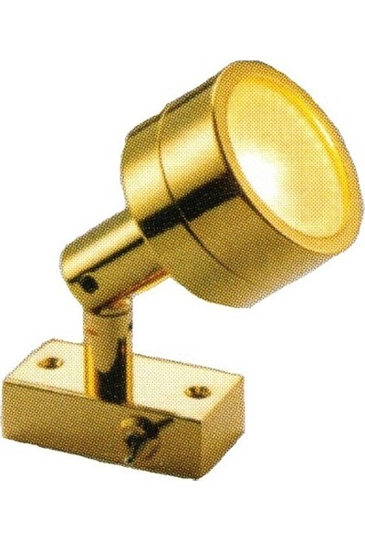 SEAWORLD Okuma Lambası Altın Kaplama 55X115MM