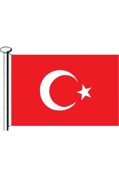 Saray Türk Bayrağı 20X30