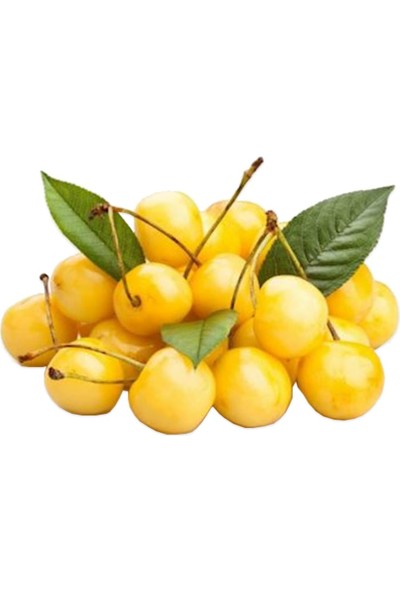 Sebze Meyve Dünyası Sarı Kiraz 500 gr