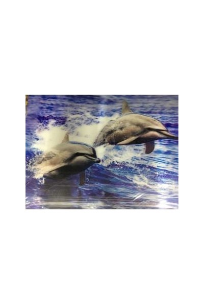 Ozcmax 3 Boyutlu Yunus Şekilli Hediyelik Tablo 30X40 cm