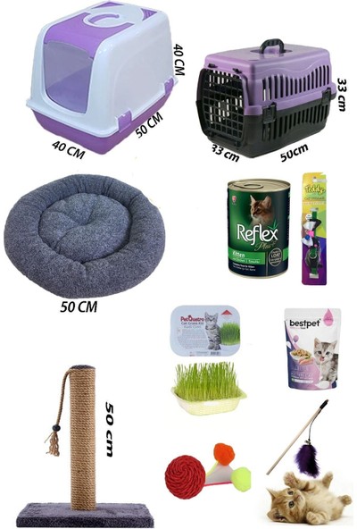 Bio Sand Kedi Başlangıç Seti 10 Parça -