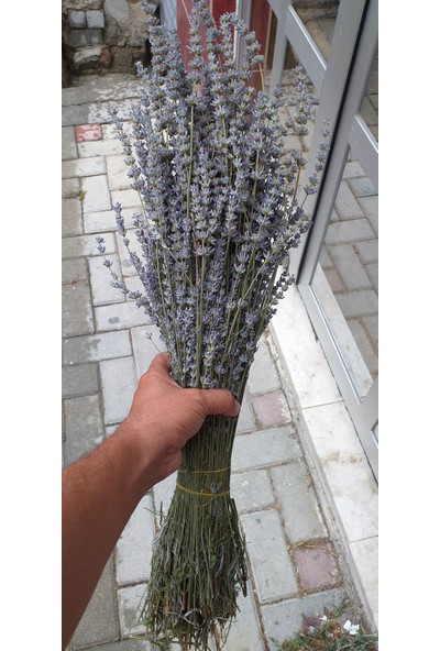 Egemen Fidancılık Lavanta Buketi Demeti