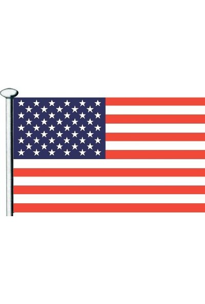 Saray Amerika Bayrağı 30X45