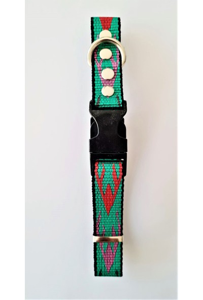 Burdabuldu Küçük Irk Köpek Boyun Tasması Yeşil Small 11 mm 20-31 cm Burdabuldu Küçük Irk Köpek Boyun Tasması Yeşil Small 11 mm 20-31 cm