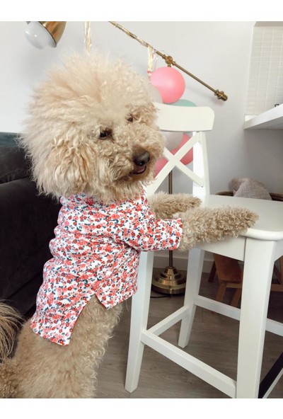 Bella Pati Çiçek Desenli Boğazlı Kazak