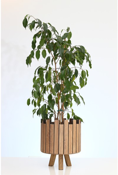 Hakan Mobilya Çam Rengi Ahşap Ayaklı Kale Model Saksı Standı Büyük Dekoratif Çiçeklik Ofis Balkon Bahçe Ahşap Saksılık Hakan Mobilya Çam Rengi Ahşap Ayaklı Kale Model Saksı Standı Büyük Dekoratif Çiçeklik Ofis Balkon Bahçe Ahşap Saksılık