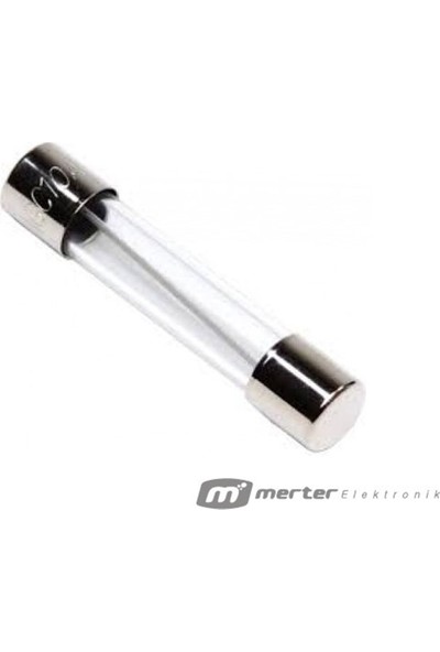 Merter Cam Sigorta Büyük 20 A (100AD) Merter Cam Sigorta Büyük 20 A (100AD)