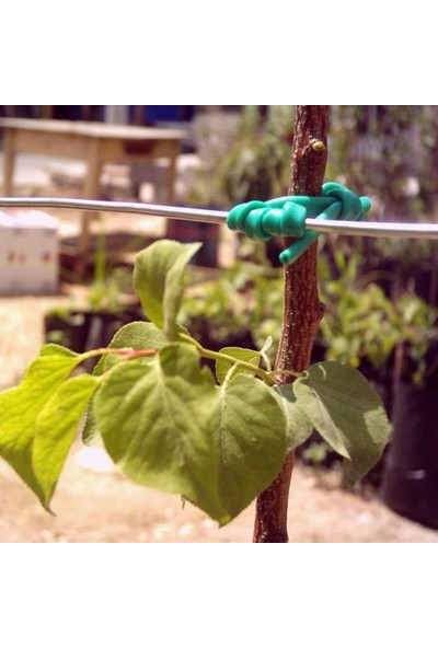 MutluPaket Plastik Özel Üretim Fidan Bağlama Ipi (10 Fidan Için) MutluPaket Plastik Özel Üretim Fidan Bağlama Ipi (10 Fidan Için)
