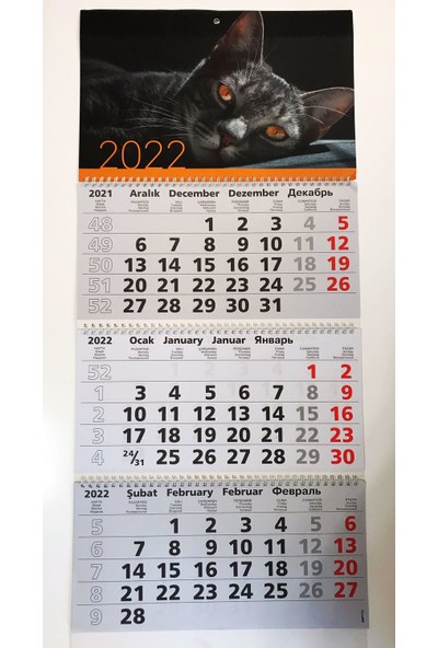 Gıpta 2022 Kedi Bristol Gemici Takvimi 3 Aylık 78 x 33 cm 805-BRS