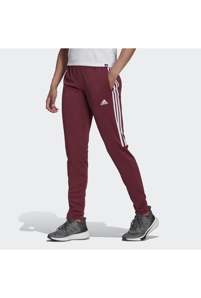 Adidas Aeroready Sereno Bordo Kadın Eşofman Altı