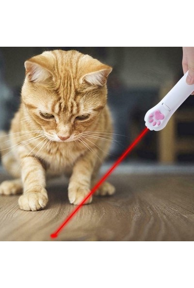Bayram Şarjlı Kedi Oynatma Lazeri & Kedi Feneri Bayram Şarjlı Kedi Oynatma Lazeri & Kedi Feneri