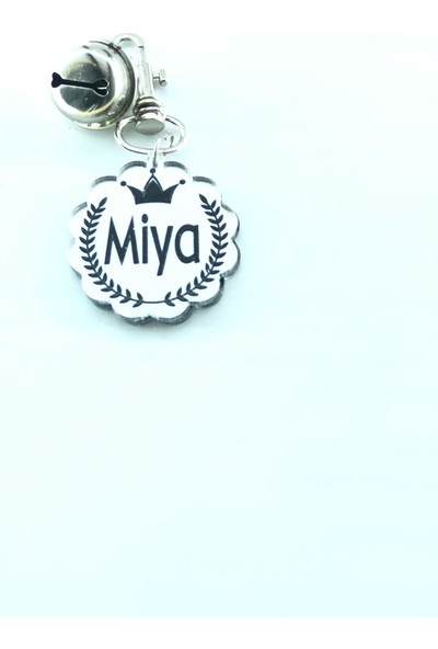 Pleksi Kedi Köpek Künyesi Kaybolursam Ara Isimlik Gümüş Rengi