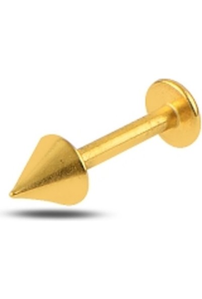 Gülüş Gümüş Sivri Başlı Gümüş Kulak-Dudak-Burun Piercing Gülüş Gümüş Sivri Başlı Gümüş Kulak-Dudak-Burun Piercing