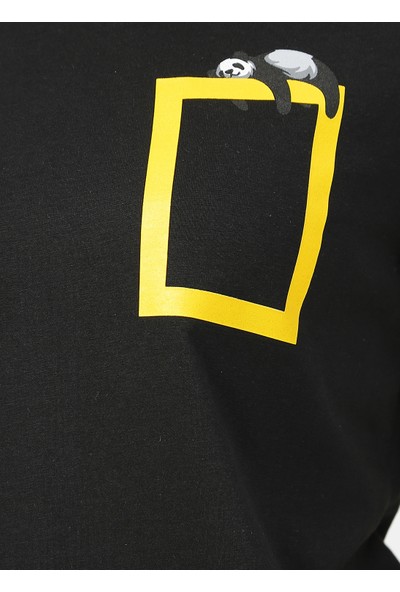 National Geographic Kadın Siyah Bisiklet Yaka T-Shirt National Geographic Kadın Siyah Bisiklet Yaka T-Shirt