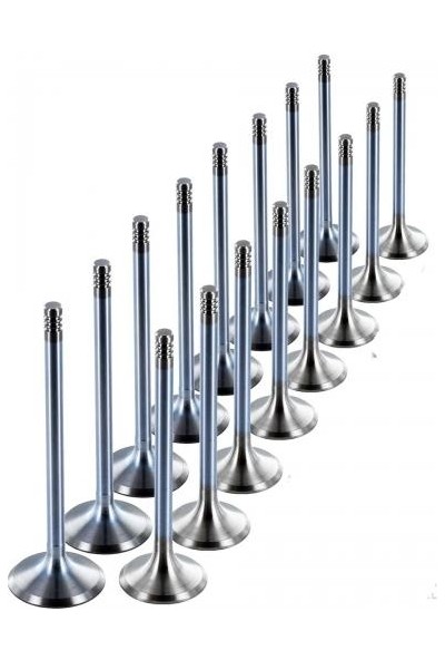 Land Bmw Uyumlu M43 M73 ve M73N Motor Subab Takımı ( 8 Valf ) 11341739114 Land Bmw Uyumlu M43 M73 ve M73N Motor Subab Takımı ( 8 Valf ) 11341739114