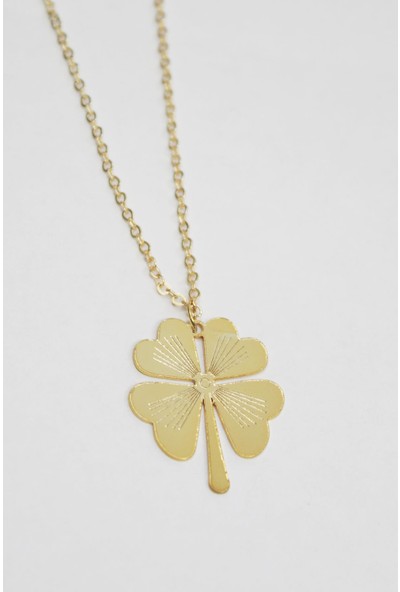 New Obsessions Yonca Kolye