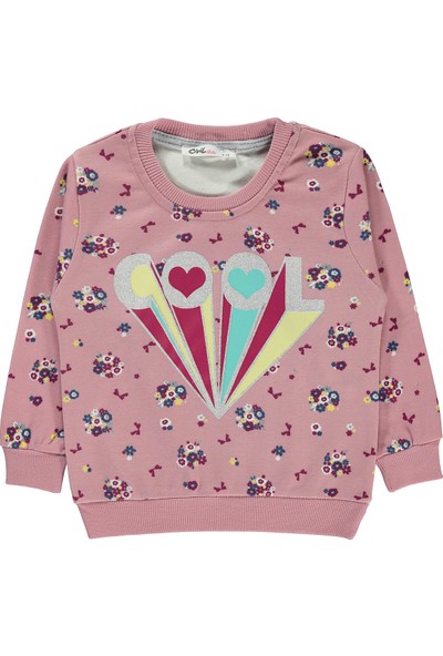 Civil Girls Kız Çocuk Sweatshirt 2-5 Yaş Gül Kurusu