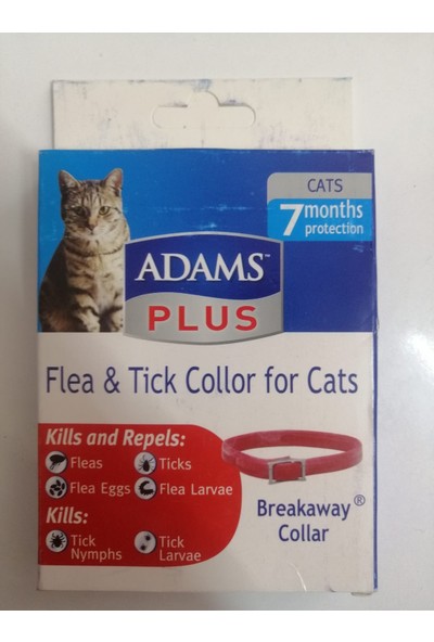 Adams Kedi Pire Kene Tasma Adams Kedi Pire Kene Tasma