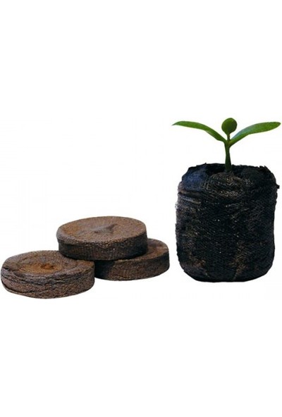 Jiffy 38 mm Şişen Tablet 10'lu