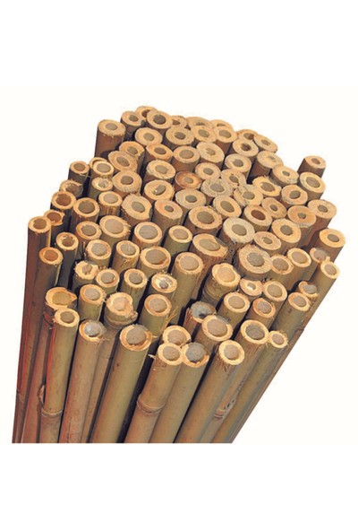 Fidan Burada Bambu Bitki Destek Çubuğu 210 cm 10'lu Set Fidan Burada Bambu Bitki Destek Çubuğu 210 cm 10'lu Set