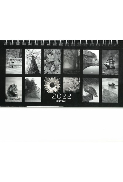 Gıpta 2022 Masa Takvimi 9 x 17 cm Üçgen