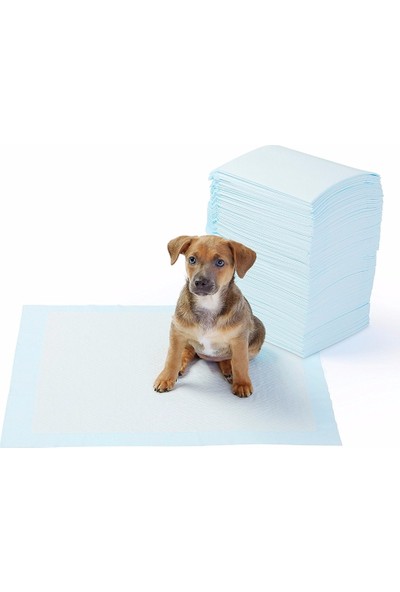 Rennway Yıkanabilir Köpek Çiş Pedi - 100 x 100 cm Rennway Yıkanabilir Köpek Çiş Pedi - 100 x 100 cm