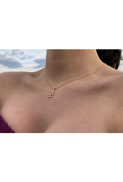 Lila Ticaret Zarif Kolye