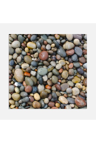Tink Çakıl Taşı Desenli Pvc Karo 30X30 cm 4'lü 0,36 M2 Tink Çakıl Taşı Desenli Pvc Karo 30X30 cm 4'lü 0,36 M2