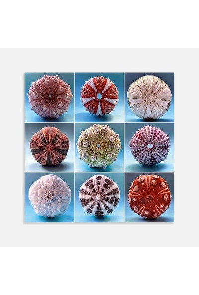 Tink Kestaneler Desenli Pvc Karo 30X30 cm 4'lü 0,36 M2 Tink Kestaneler Desenli Pvc Karo 30X30 cm 4'lü 0,36 M2