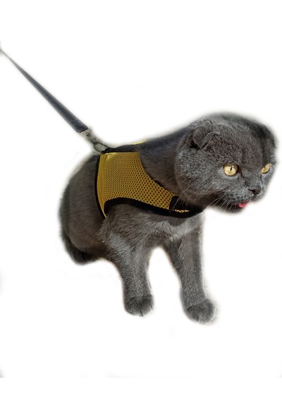 Bizedeyolla Nefes Alabilen Kedi Göğüs Tasma Seti Boyun Çevre 24-30 cm Gögüs Çevre 34-40 cm